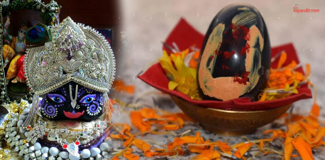 Shaligram Stone: Benefits, Power, Story And Identification-99Pandit